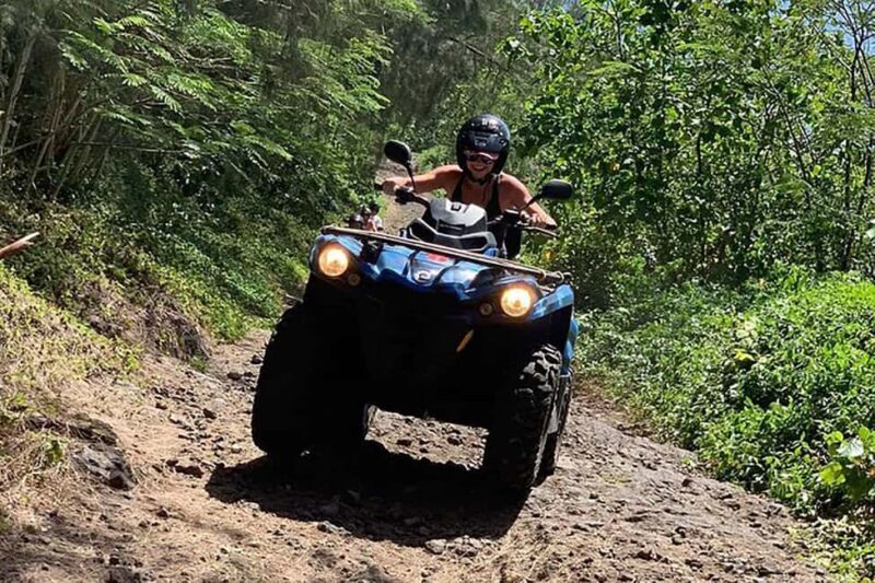 Bora Bora Adventures ATV / QUADS Tours - Exploring Bora Bora with ATV / QUADS Tours: An Authentic Adventure