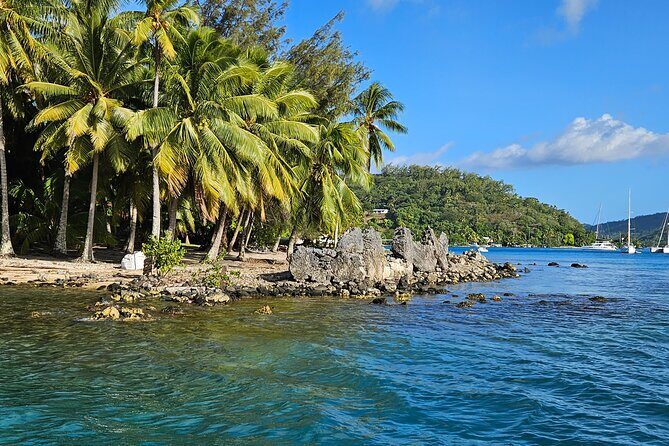 Bora Bora Complete tour of the lagoon in 2H - A Closer Look at the Experience