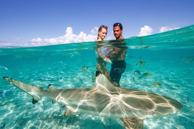 Bora Bora Eco Snorkel Cruise Including Snorkeling with Sharks and Stingrays - Authentic Experiences and Common Feedback