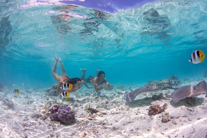Bora Bora Eco Snorkel Cruise Including Snorkeling with Sharks and Stingrays - An In-Depth Look at the Bora Bora Snorkel Tour