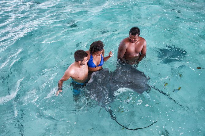 Bora Bora Eco Snorkel Cruise Including Snorkeling with Sharks and Stingrays - Starting Point: Crystal-Clear Lagoon and Beginner-Friendly Waters