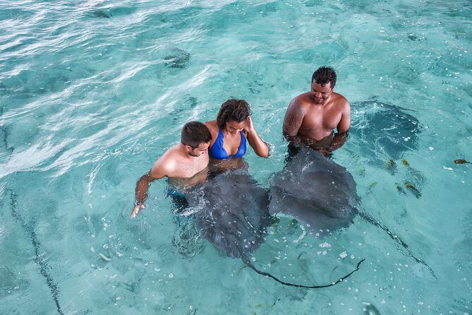 Bora Bora Eco Snorkel Cruise Including Snorkeling with Sharks and Stingrays - Authentic Encounters and Customer Experiences