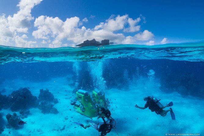 Bora Bora Electric Fun Car Rental - Real Traveler Experiences: The Good, the Bad, and the Surprising