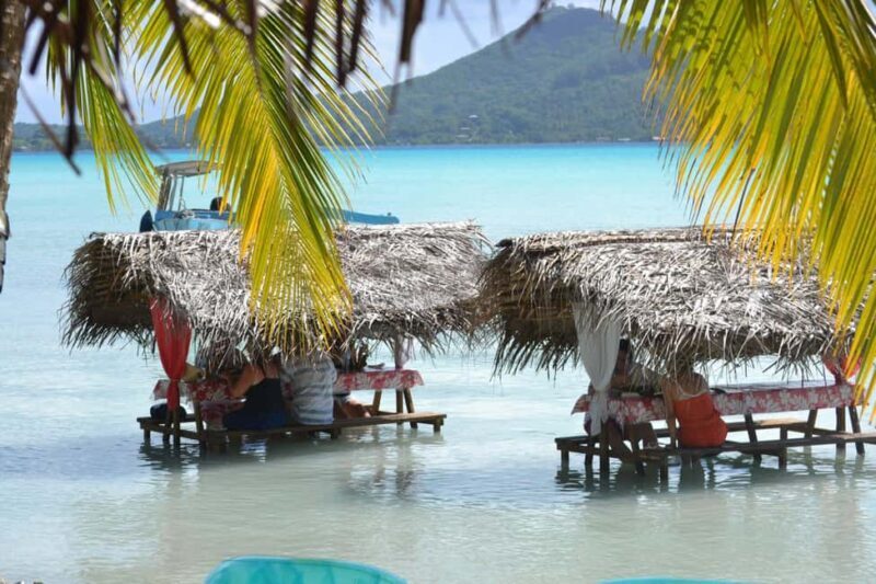 Bora Bora: Full-Day Lagoon Snorkelling Tour - The Underwater Wonderland