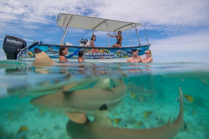 Bora Bora Full Day Manu Lagoon Excursion - What’s Included and What to Expect