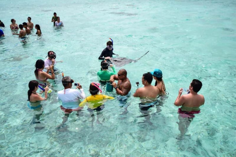 Bora Bora: Half-Day Lagoon Snorkelling Tour - An In-Depth Look at the Bora Bora Lagoon Snorkelling Tour