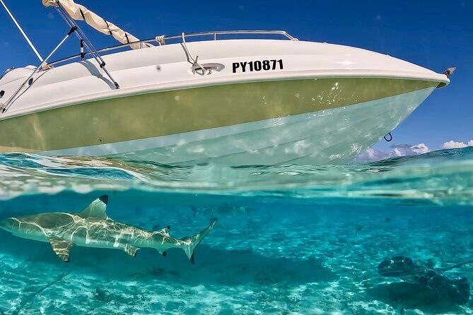 Bora Bora Jet Ski Tour - What the Reviews Say