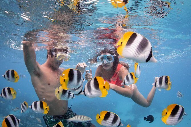 Bora Bora Jet Ski Tour, & Eco Shark / Ray Snorkel Cruise - Introduction