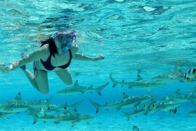 Bora Bora Jet Ski Tour, & Eco Shark / Ray Snorkel Cruise - Frequently Asked Questions