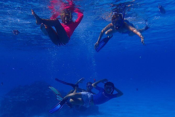 Bora Bora: Luxury Private Half Day Snorkeling Tour - Final Thoughts