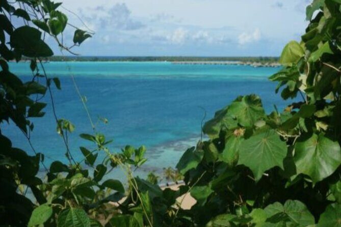 Bora Bora Off-Road Sightseeing Tour - Exploring Faanui Valley and Fruit Plantations