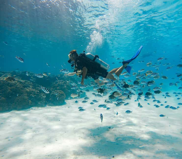 Bora Bora: Romantic Dive for Two People (Beginners) - An In-Depth Look at the Experience