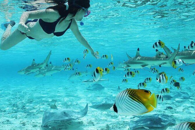 Bora Bora SNORKELING AND ATV QUADS TOURS COMBO - Why Choose This Tour?