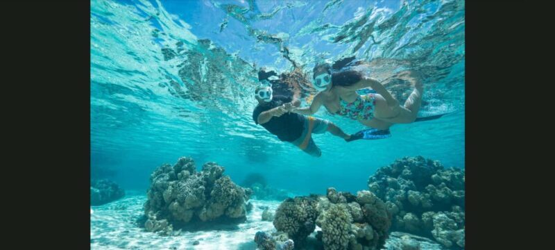 Bora Bora: Snorkeling and Fishing Tour with Lunch Option - Key Points