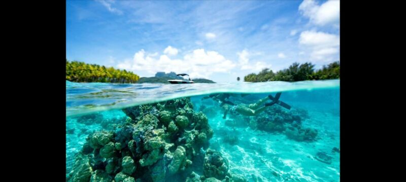 Bora Bora: Snorkeling and Fishing Tour with Lunch Option - Who Will Love This Tour?
