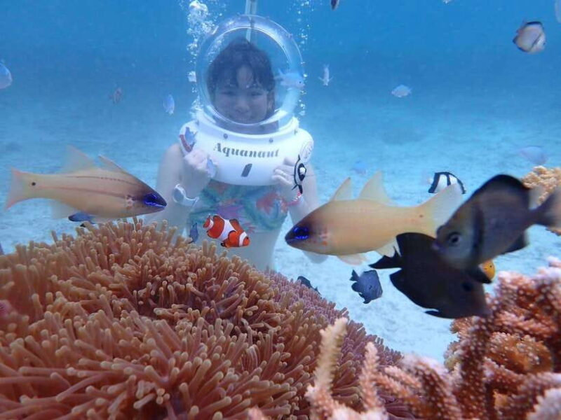 Boracay: Aquanaut Helmet Diving Experience - Practical Details