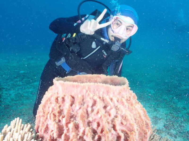 Boracay: Introduction to Scuba Diving Experience - A Practical Guide to Boracay’s Introduction to Scuba