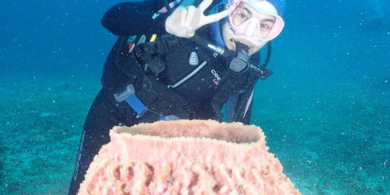 Boracay: Introduction to Scuba Diving Experience - Practical Details & Tips for Booking
