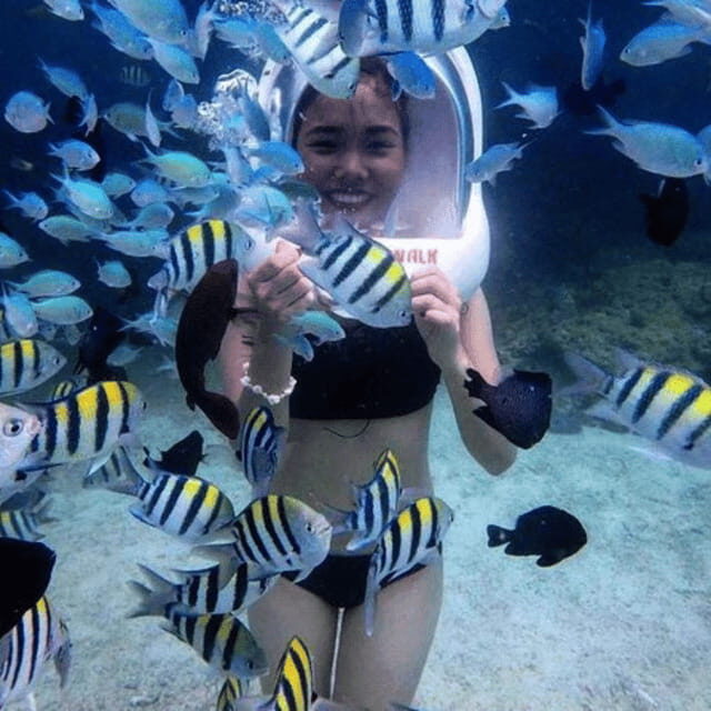 Boracay: Island Hopping with Buffet Lunch & Helmet Diving - Key Points