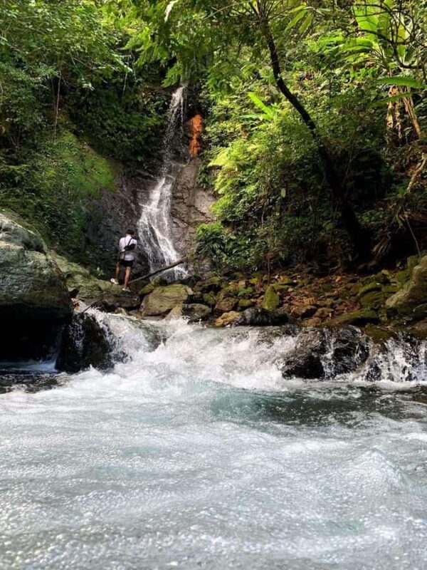 Boracay: Nagata Falls Jungle Trek with Transfers - Key Points