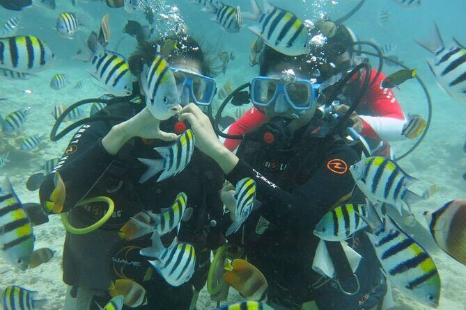 Boracay PADI Discover Scuba Diving - Discover Boracay’s Underwater World in Detail