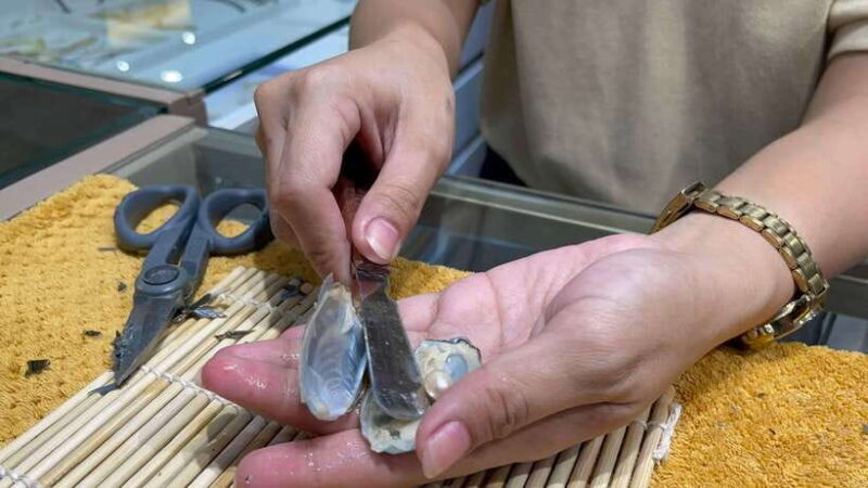 Boracay: Private Land Tour with Pick a Pearl Experience - What Makes This Tour Special?