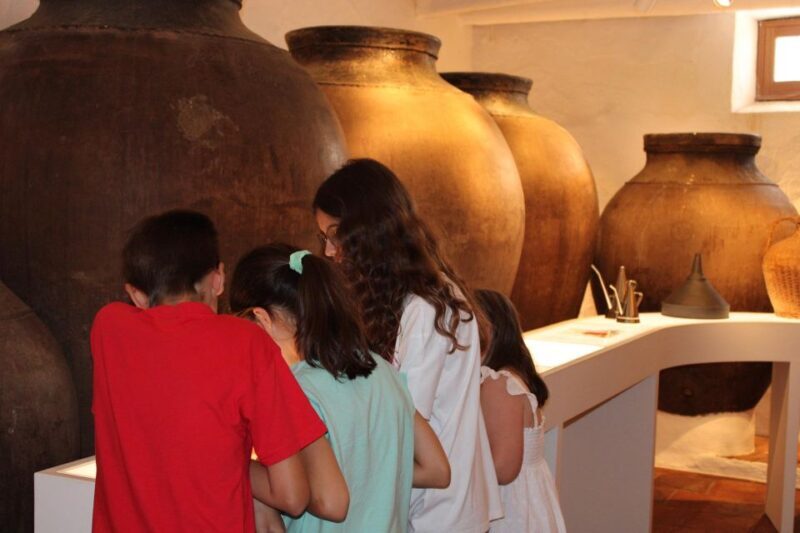 Borba: Winery and Amphora Wine Tour and Tasting - Key Points