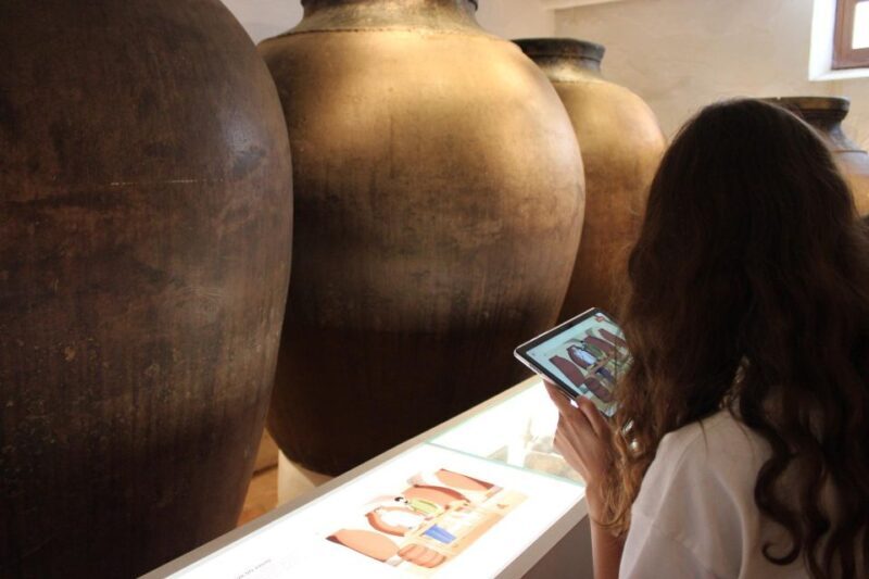 Borba: Winery Tour with Wine and Alentejo Products Tasting - Who Is This Tour Best For?