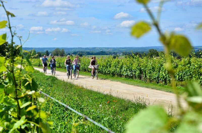 Bordeaux Backcountry E-Bike Tour with Lunch & Wine Tasting - Key Points