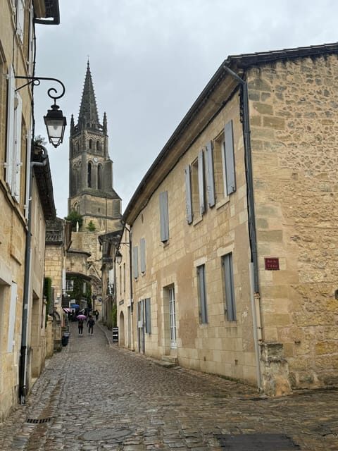 Bordeaux Backcountry E-Bike Tour with Lunch & Wine Tasting - The Overall Experience