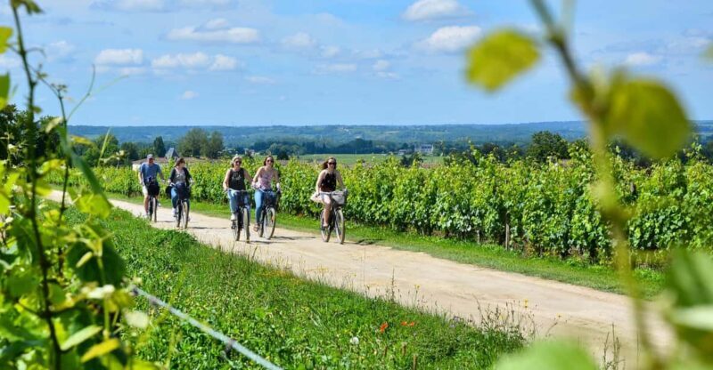 Bordeaux Backcountry E-Bike Tour with Lunch & Wine Tasting - What Makes This Tour Special
