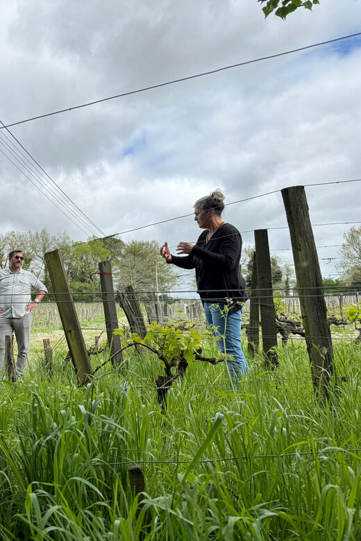Bordeaux Backcountry E-Bike Tour with Lunch & Wine Tasting - Summary