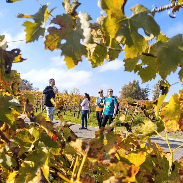 Bordeaux by Gravel Bike : Historic center & vineyards - Detailed Itinerary Breakdown