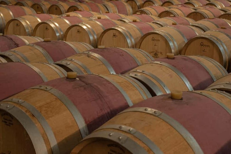 Bordeaux: Château Saint Ahon classic tour - The Value for Money