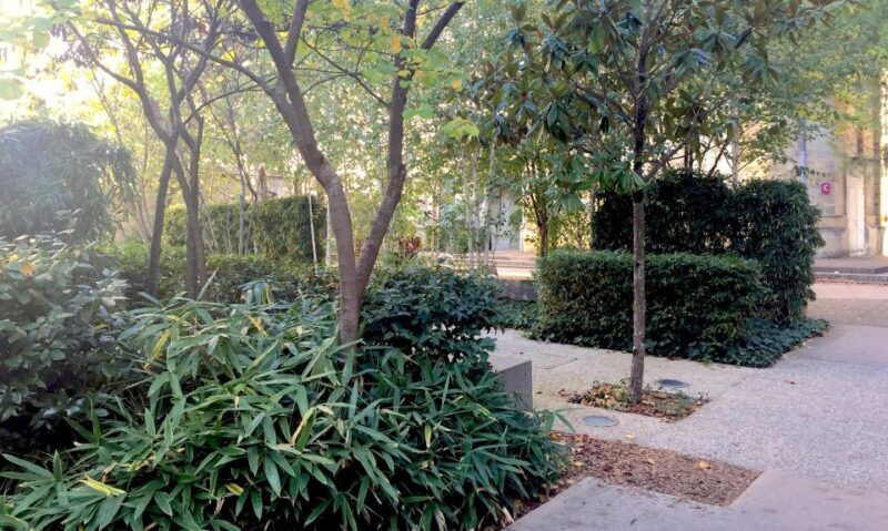 Bordeaux Contemporary landscapes - Exploring Bordeauxs Modern Landscape: A Thoughtful Tour for Curious Travelers