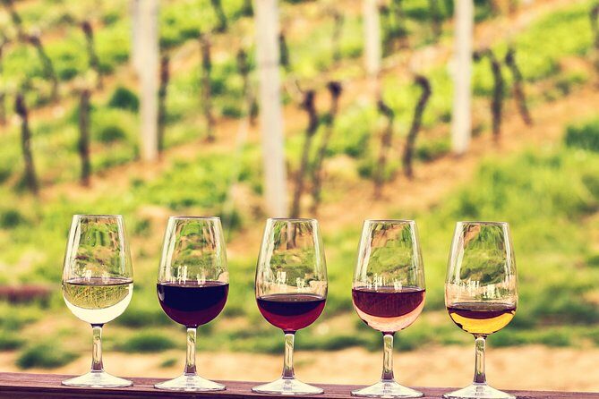 Bordeaux Cruise Port Shore Excursion: Full-Day Private Medoc Wine Tour - Why this Tour Offers Great Value