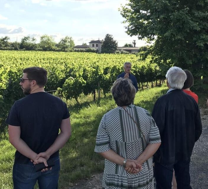 Bordeaux: Explore an Organic Family Vineyard with Tasting - Introduction to an Authentic Bordeaux Vineyard