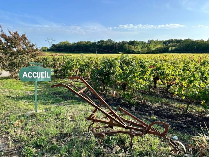 Bordeaux: Explore an Organic Family Vineyard with Tasting - The Value for Money