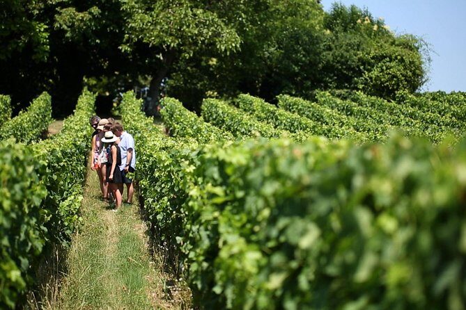 Bordeaux Full day Medoc and St Emilion Wine Tour with Lunch - An In-Depth Look at the Tour Itinerary