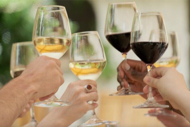 Bordeaux : Full Day Wine Tastings & Gourmet Lunch - Authenticity, Comfort, and Experience