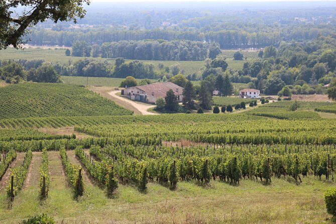 Bordeaux : Full Day Wine Tastings & Gourmet Lunch - Frequently Asked Questions (FAQs)