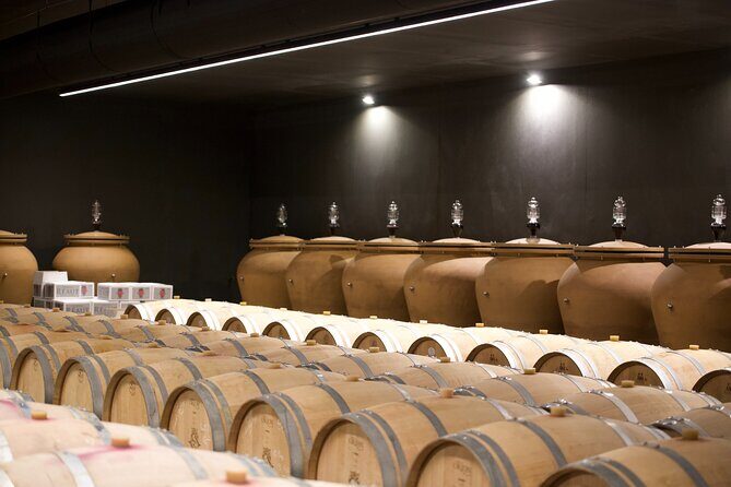 Bordeaux : Full Day Wine Tastings & Gourmet Lunch - Wrapping Up: Is This the Bordeaux Tour for You?