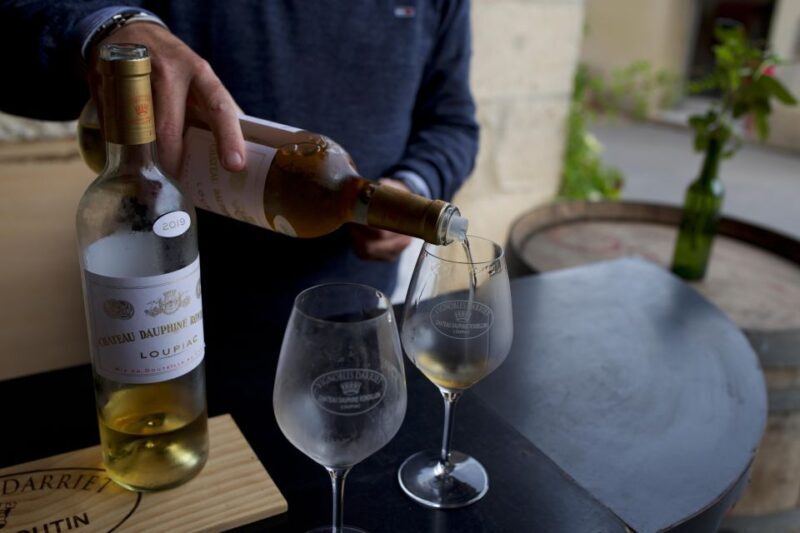Bordeaux : Full Day Wine Tastings & Lunch - Bordeaux: Full Day Wine Tastings & Lunch