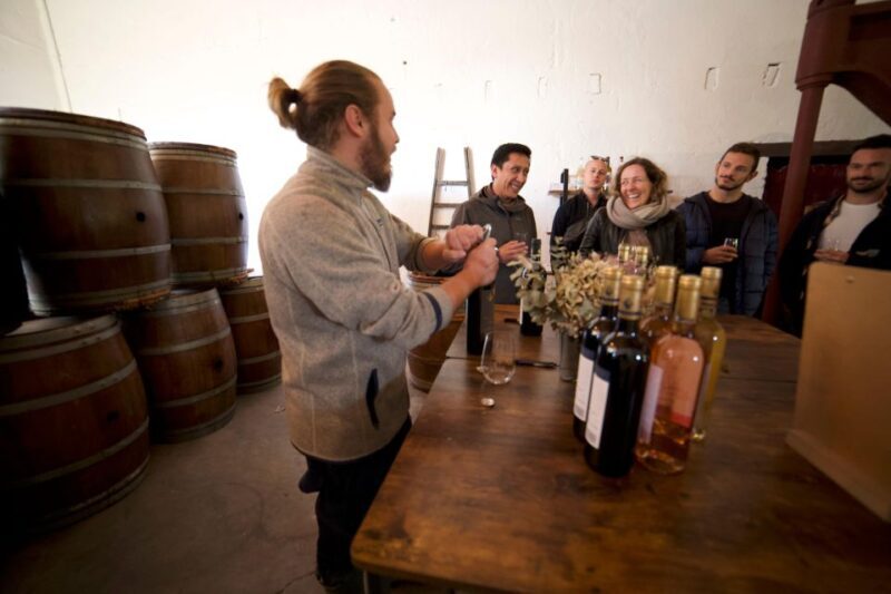 Bordeaux : Full Day Wine Tastings & Lunch - What the Tour Does Well