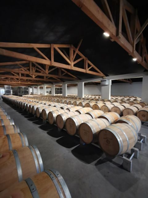 Bordeaux : Full Day Wine Tastings & Lunch - What to Consider