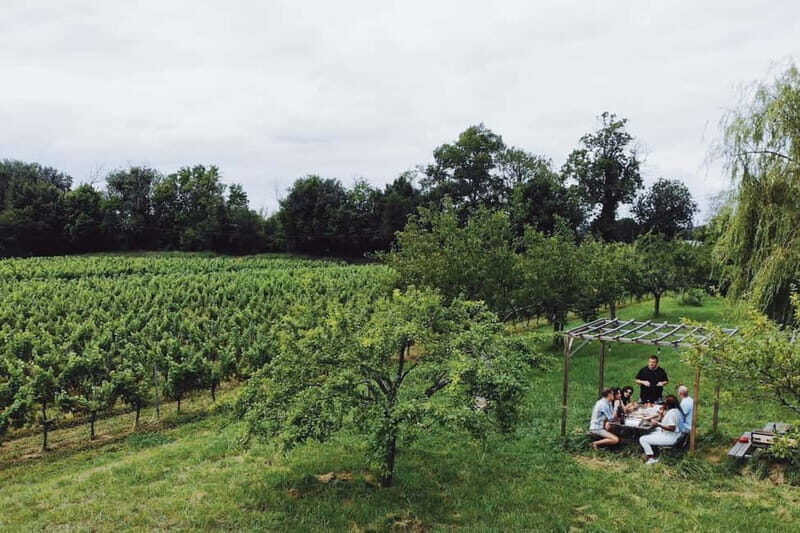 Bordeaux: Half-Day Private Natural Wine Tour & Tasting - An Overview of the Experience