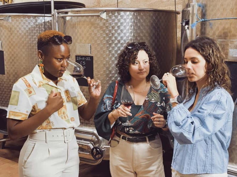 Bordeaux: Half-Day Private Natural Wine Tour & Tasting - What Sets This Tour Apart?