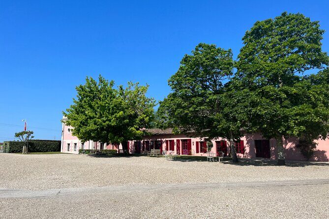 Bordeaux : Private city tour in a 2CV with wine testing - 3h - Analyzing the Value