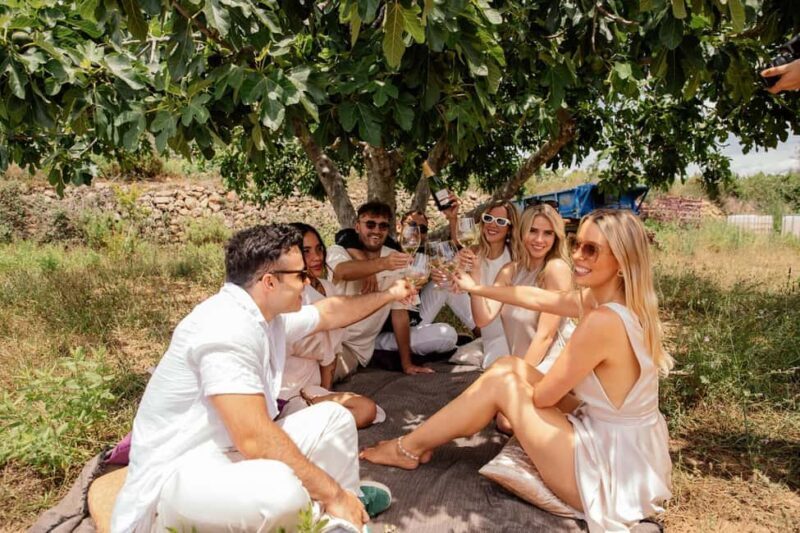 Bordeaux: Private Horseback Ride + Wine Tasting + Picnic - Key Points