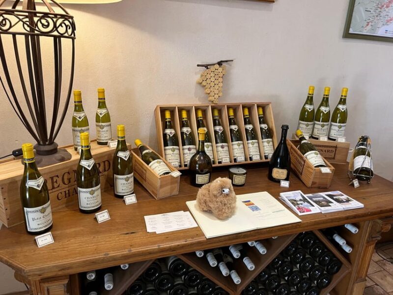 Bordeaux Private Walking & Tasting Tour - Key Points